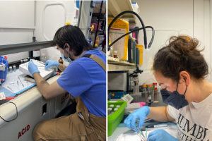 Perfusion party with Antonin brings the PI to the bench! – Ross Lab